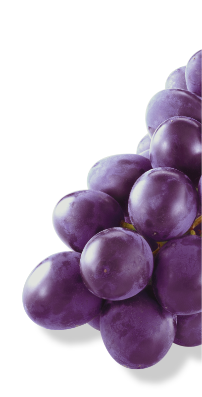 あなたの「Tea Style」をもっと自由に。季節のおすすめ ティー | Gong cha Japan | ゴンチャ | 貢茶 | 台湾茶 ...