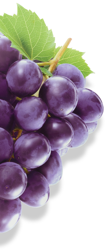 あなたの「Tea Style」をもっと自由に。季節のおすすめ ティー | Gong cha Japan | ゴンチャ | 貢茶 | 台湾茶 ...