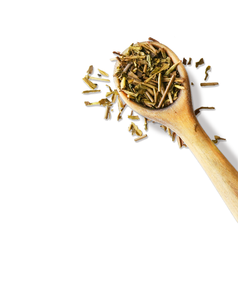 あなたの「Tea Style」をもっと自由に。季節のおすすめ ティー | Gong cha Japan | ゴンチャ | 貢茶 | 台湾茶 ...